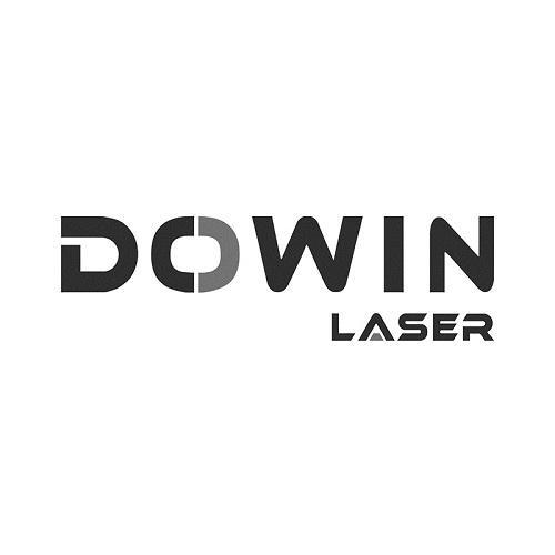 DOWIN LASER - 商标 - 爱企查
