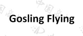 GOSLING FLYING - 商标查询 - 注册号68420142 - 爱企查