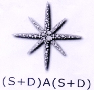 SDASD - 商标 - 爱企查