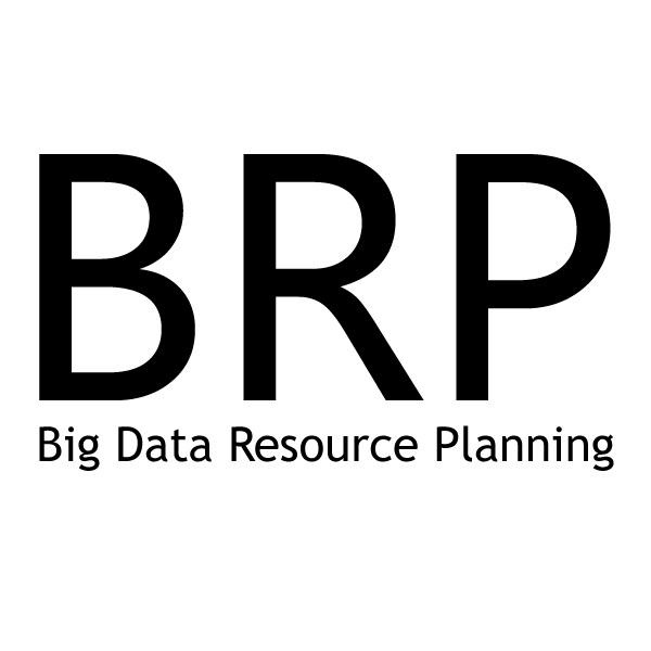 BRP BIG DATA RESOURCE PLANNING - 商标查询 - 注册号25952702 - 爱企查