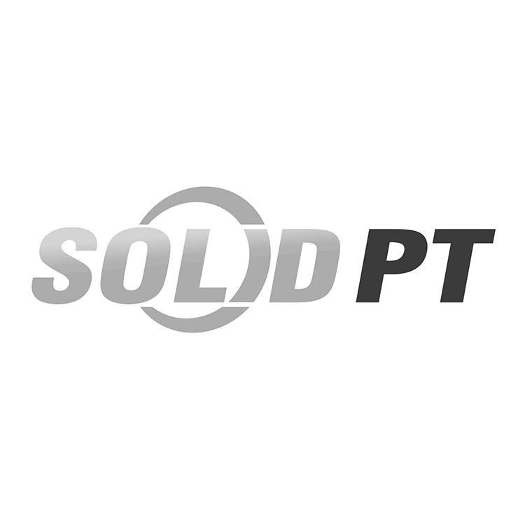 SOLID PT - 商标 - 爱企查