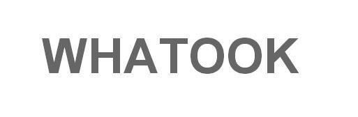 WHATOOK - 商标查询 - 注册号23840083 - 爱企查