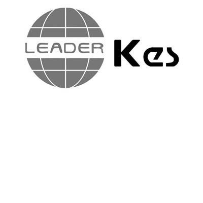 LEADER KES - 商标查询 - 注册号16624926 - 爱企查