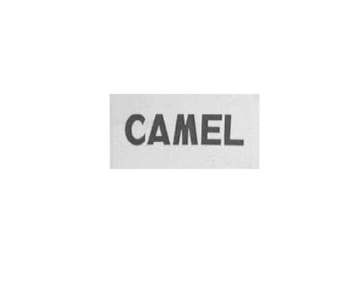 CAMEL - 商标 - 爱企查