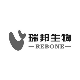 瑞邦生物 REBONE - 商标 - 爱企查