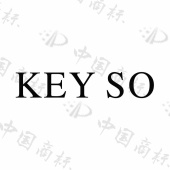 KEY SO - 商标查询 - 注册号72289680 - 爱企查