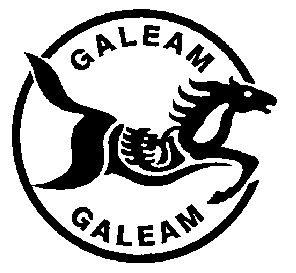 GALEAM - 商标 - 爱企查