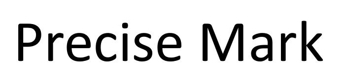 PRECISE MARK - 商标查询 - 注册号50355909 - 爱企查