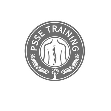 PSSE TRAINING - 商标 - 爱企查