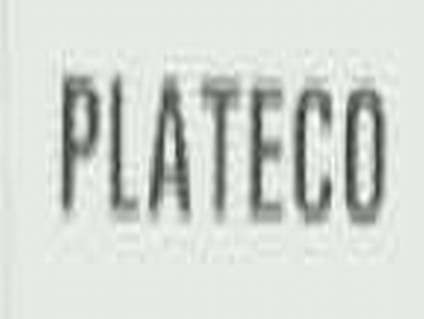 PLATECO - 商标 - 爱企查