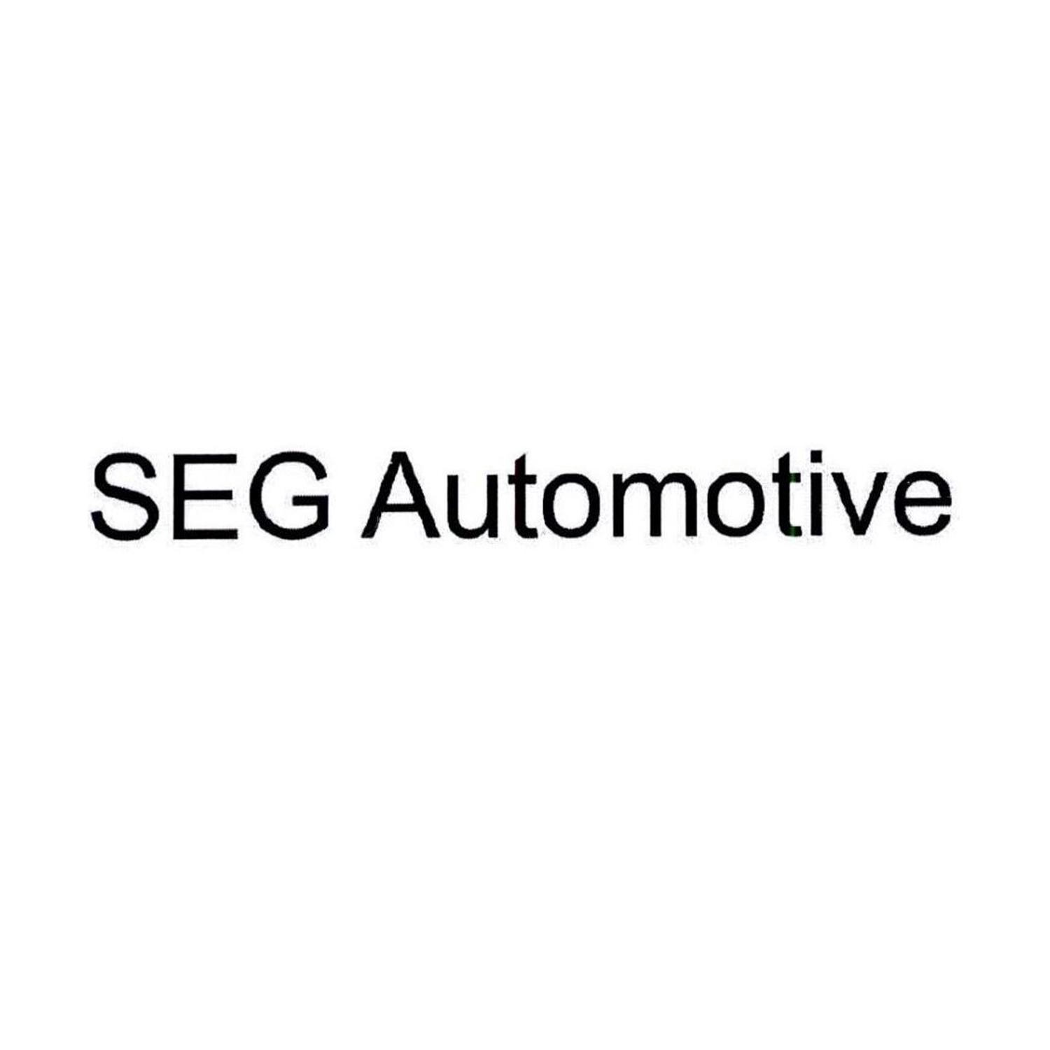 SEG AUTOMOTIVE - 商标查询 - 注册号46021759A - 爱企查