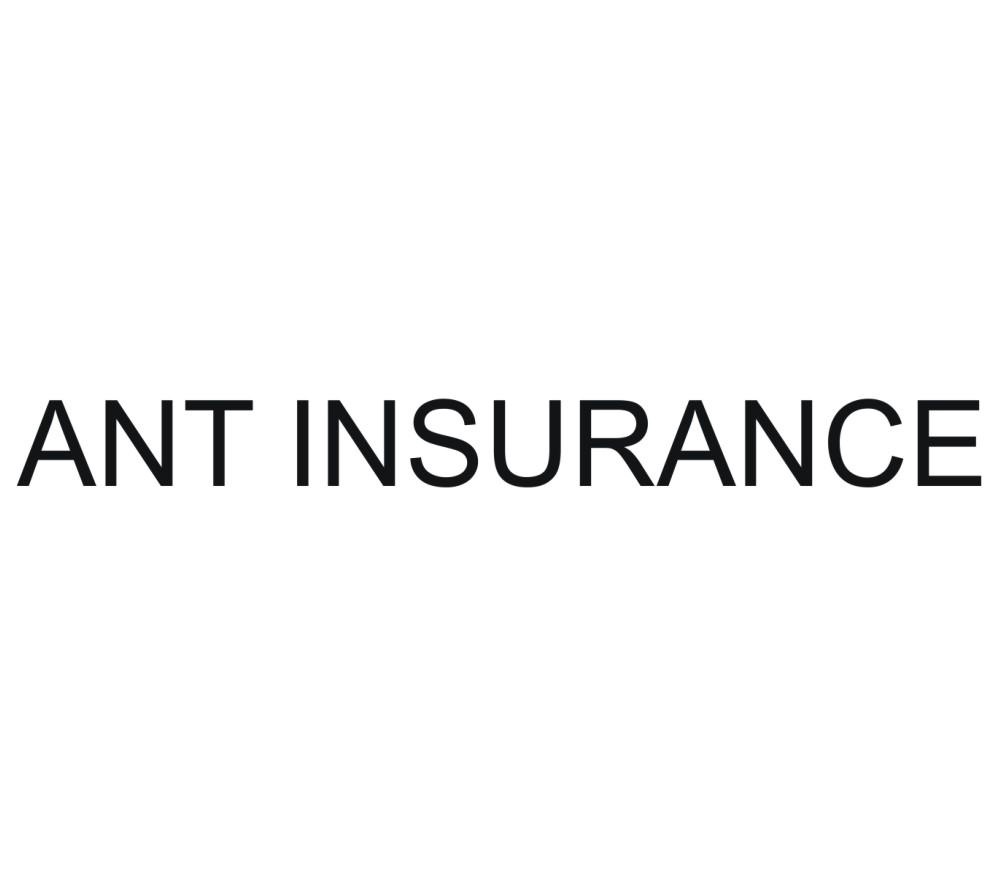 ANT INSURANCE - 商标 - 爱企查