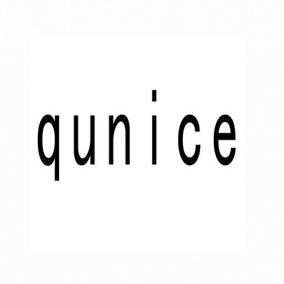 QUNICE - 商标查询 - 注册号33596008 - 爱企查