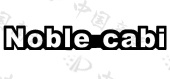 NOBLE CABI - 商标查询 - 注册号11097691 - 爱企查