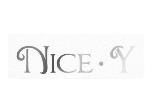 NICE•Y - 商标查询 - 注册号19246892 - 爱企查