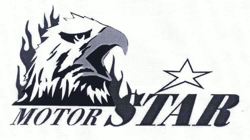 MOTOR STAR - 商标 - 爱企查