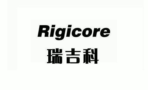 瑞吉科 RIGICORE - 商标 - 爱企查