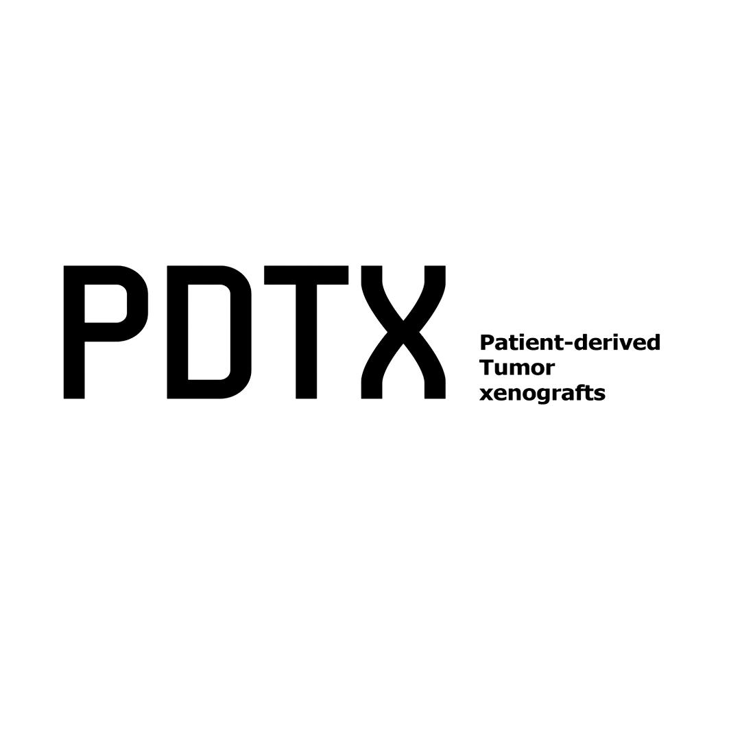 PDTX PATIENT-DERIVED TUMOR XENOGRAFTS - 商标 - 爱企查