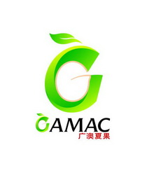 广澳夏果 GAMAC G - 商标 - 爱企查