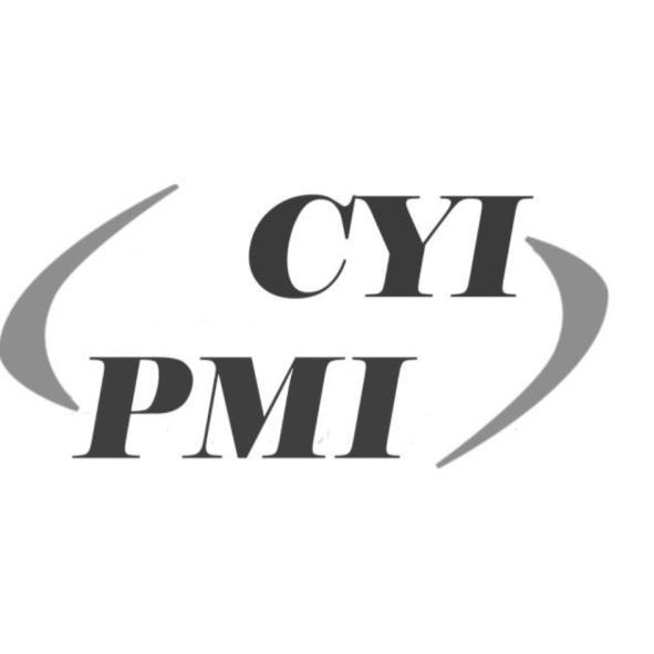 CYI PMI - 商标 - 爱企查