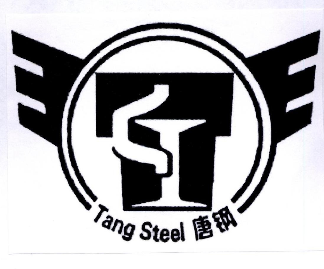 唐钢 TANG STEEL - 商标查询 - 注册号29602142 - 爱企查