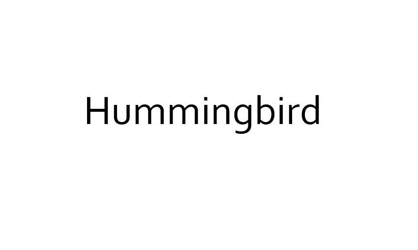 HUMMINGBIRD - 商标 - 爱企查