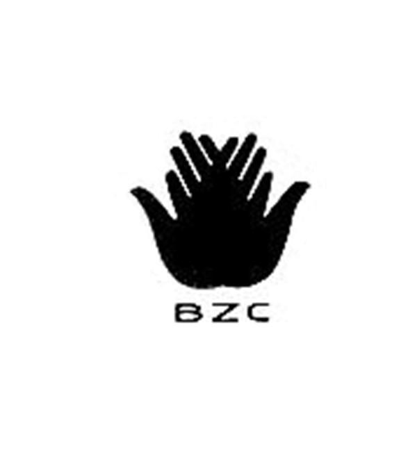 BZC - 商标 - 爱企查