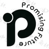 P PROMISING FUTURE - 商标查询 - 注册号67691087 - 爱企查
