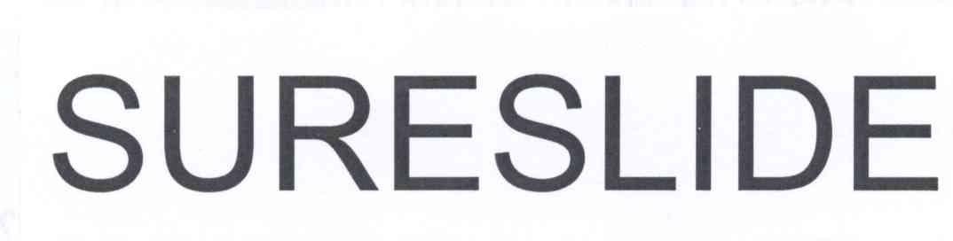 SURESLIDE - 商标 - 爱企查