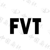 FVT - 商标 - 爱企查