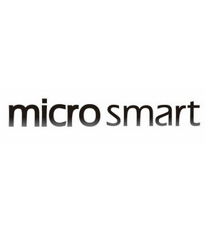 MICRO SMART - 商标 - 爱企查
