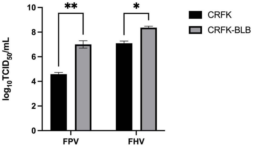 一种猫肾CRFK贴壁细胞系的建立及悬浮驯化与应用 - 爱企查