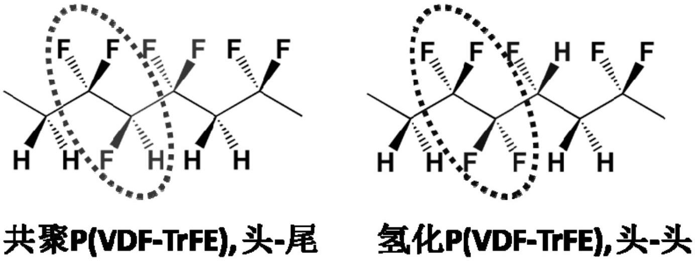 头-头连接的氢化P（VDF-TrFE）制备驻极体压电材料的应用和方法 - 爱企查