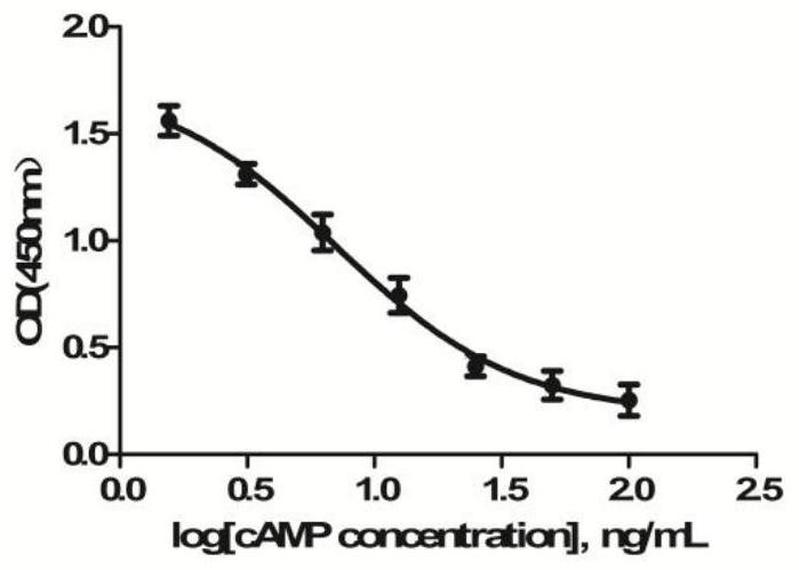 一种RXFP1融合蛋白、表达该RXFP1融合蛋白的细胞及其在测定Relaxin-2活性中的应用 - 爱企查