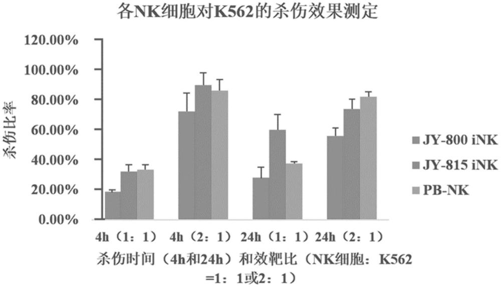 一种功能增强型iPSC来源NK细胞及其应用 - 爱企查