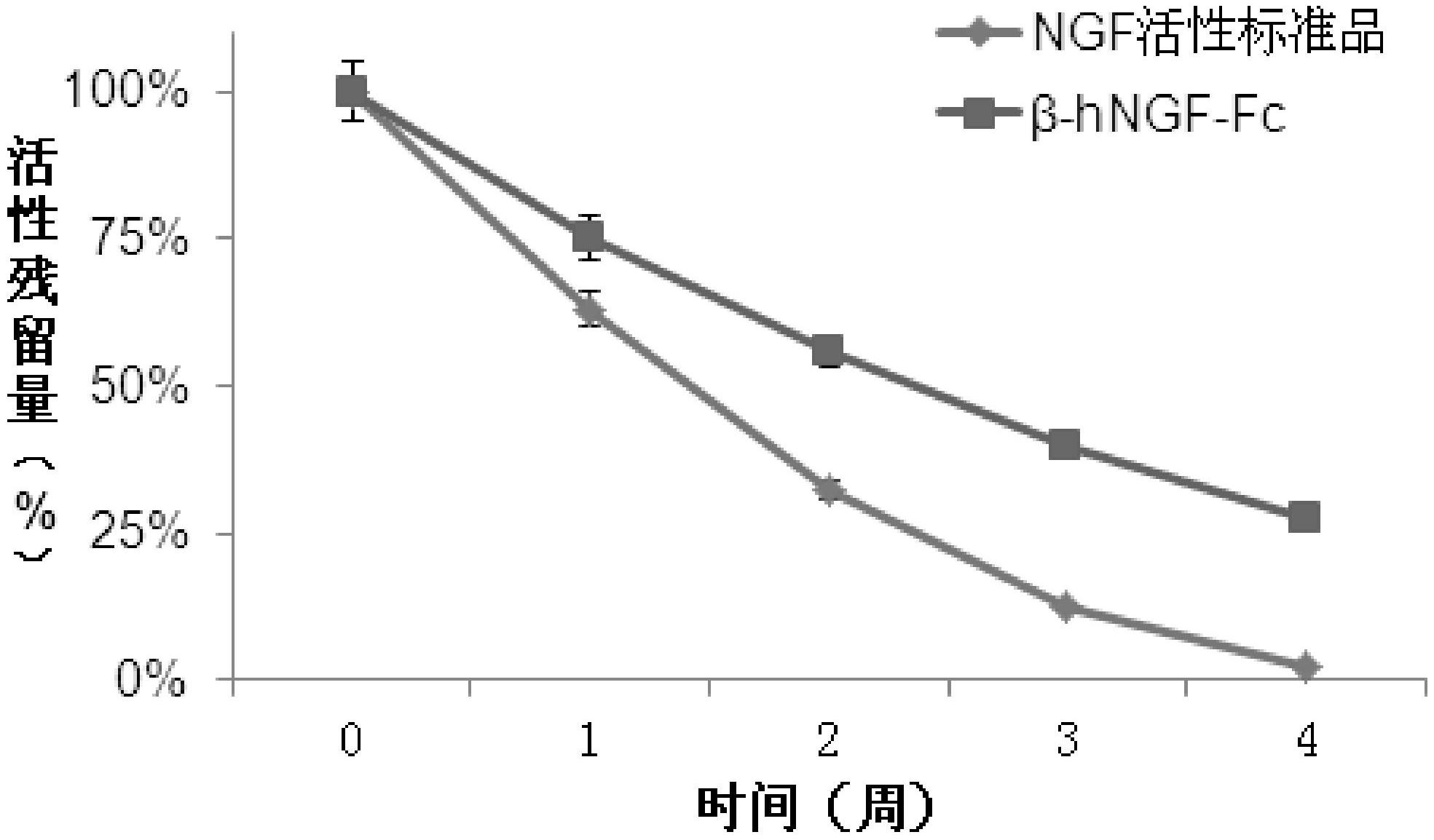 一种重组β-hNGF-Fc融合蛋白、制备方法及用途 - 爱企查