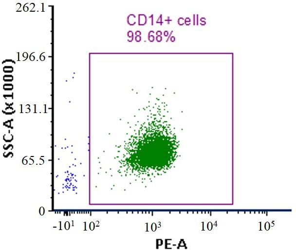 一种特异性识别CD14的抗体及其在纳米磁珠分选中的应用 - 爱企查