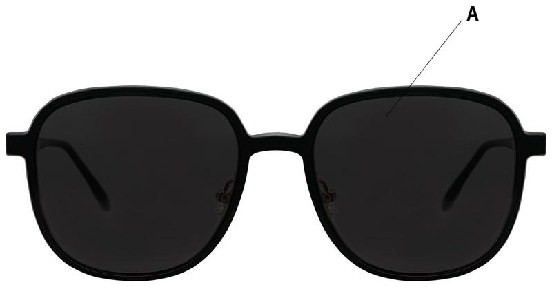 组合太阳镜（TP1010） - 爱企查