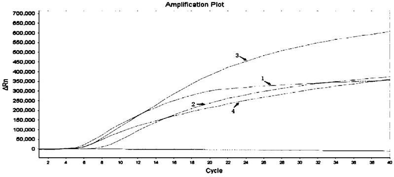 鱼类病毒性神经坏死病病毒（VNNV）的RAA恒温荧光检测方法及试剂 - 爱企查