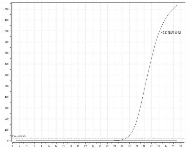 一种基于锁核酸修饰的RMA法检测CYP2C19基因多态性的试剂盒及检测方法 - 爱企查