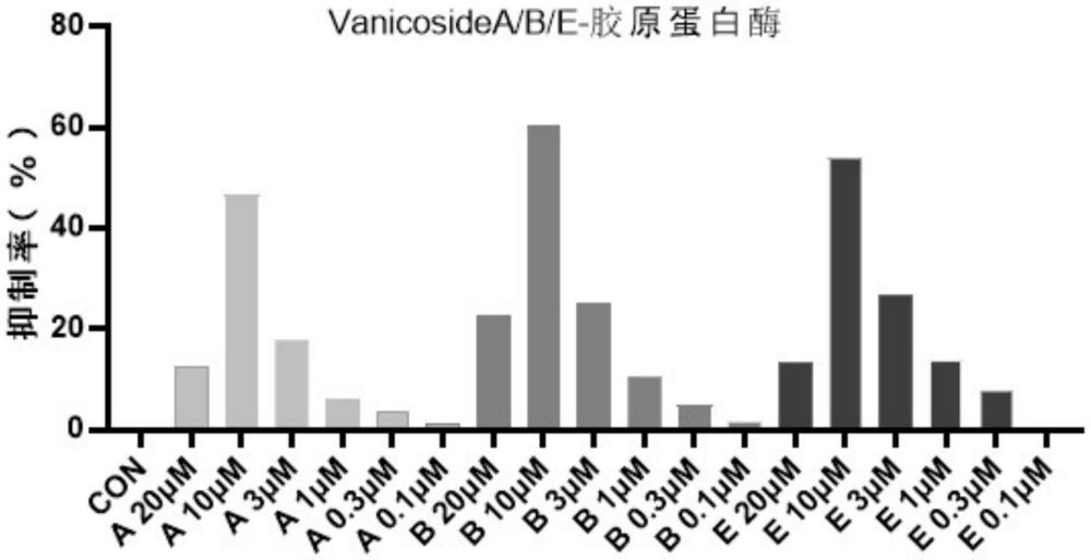 VanicosideA/B/E在制备具有抗衰老作用的护肤品中的应用和护肤品 - 爱企查